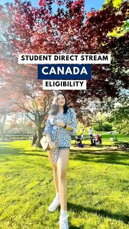 Best Study Abroad Consultant in India | Studyvisa.com